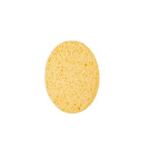 Cellulose Cleansing Sponge – THE FACE SHOP